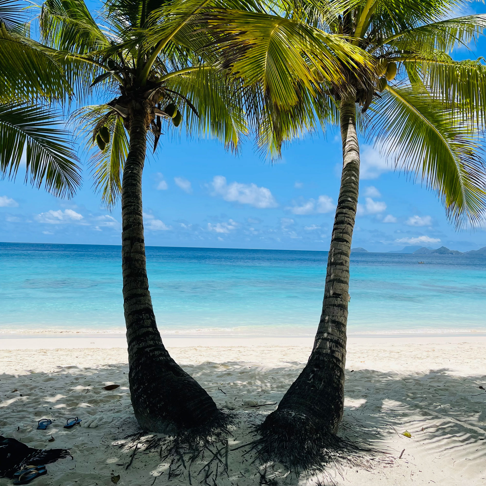 Beach Tour on Mahé | Private tour with Islandtour Seychelles